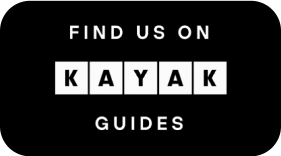 Home - PoCo - Pop and Contemporary Art Museum in Tallinn